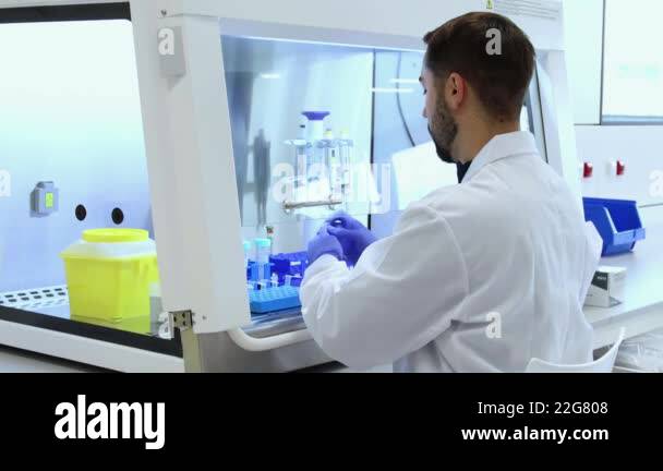 Laboratory technician carefully handling test tubes inside a laminar ...