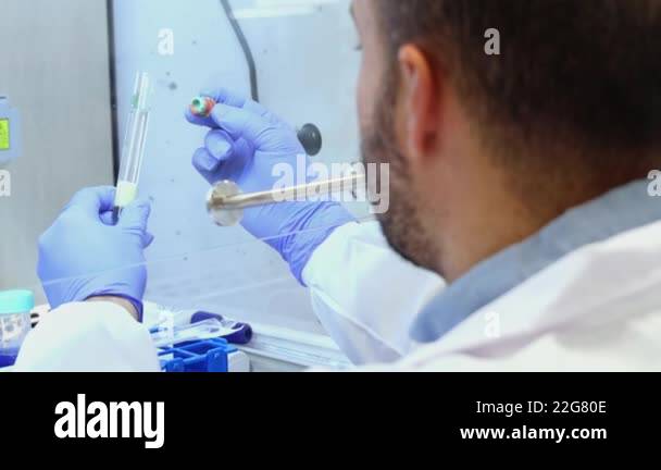 Controlled environment experiment Stock Videos & Footage - HD and 4K ...