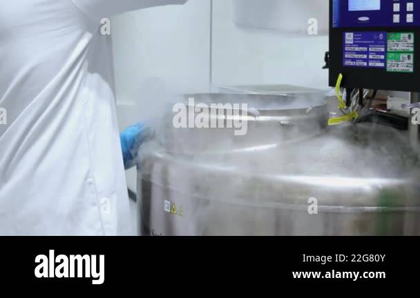 Laboratory technician carefully opens, refills with liquid nitrogen ...