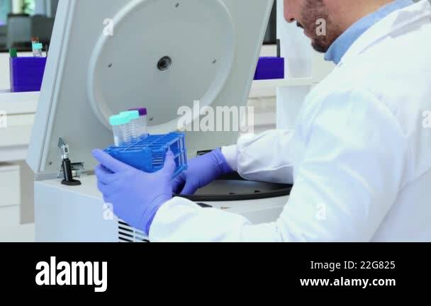 Precise laboratory professional carefully positioning scientific ...