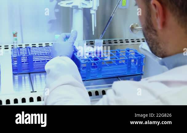 closeup Laboratory technician carefully preparing samples in a sterile ...