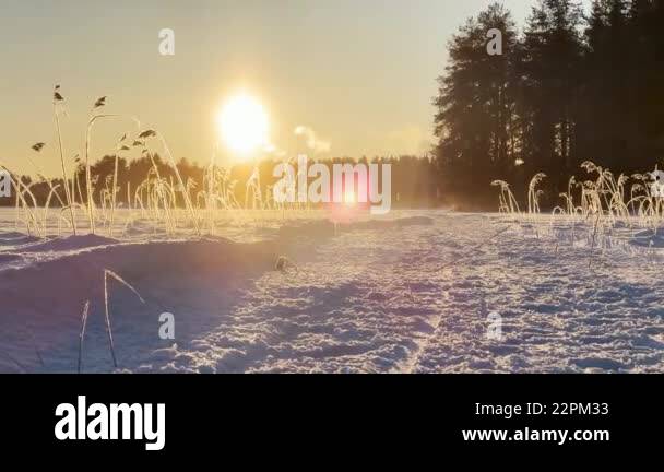 Christmas slowmotion snowfall in 4K video in building background with ...