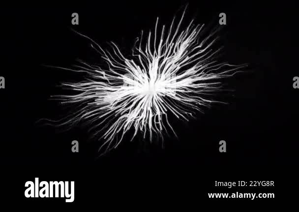 The video showcases dynamic visuals of white lines rotating against a ...