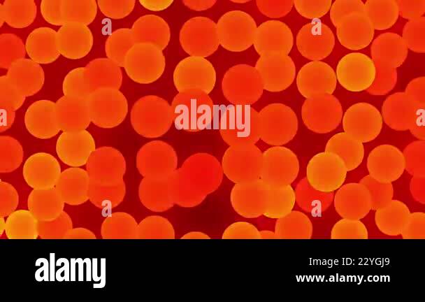 This vibrant video showcases colorful circles against a red background ...