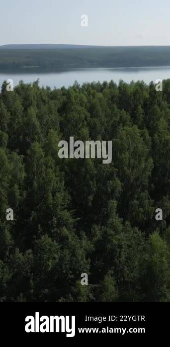 A breathtaking view showcasing a dense forest merging beautifully with ...