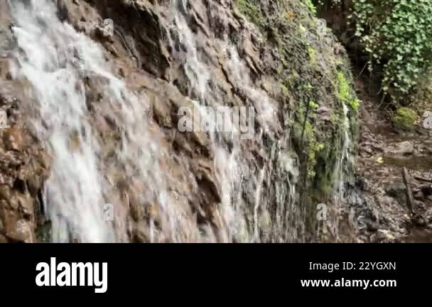Waterfall with trickling water in the undergrowth. Natural water river ...