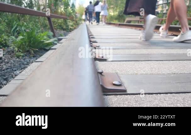 New York City High Line elevated greenway, Manhattan Midtown, USA ...