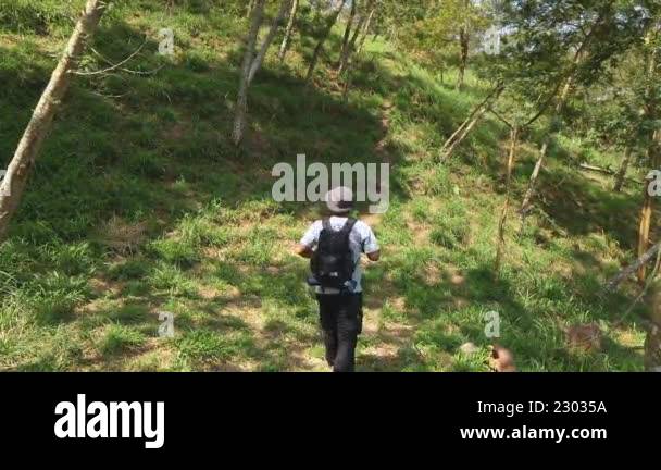 Solo adventurer Walk through the beautiful and green forest while ...