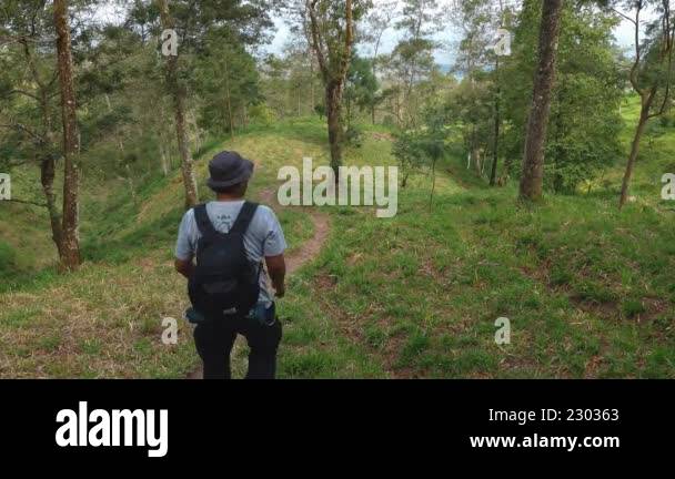 Solo adventurer Walk through the beautiful and green forest while ...