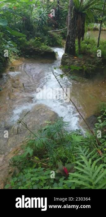 Video footage of a still portrait of an unspoiled waterfall with a ...