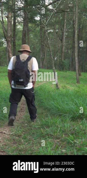 Solo Hiker Walks in the wild with varied terrain while carrying a ...
