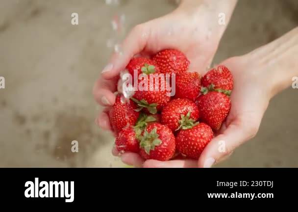 Woman holding fresh strawberries while water pouring over them. Female ...