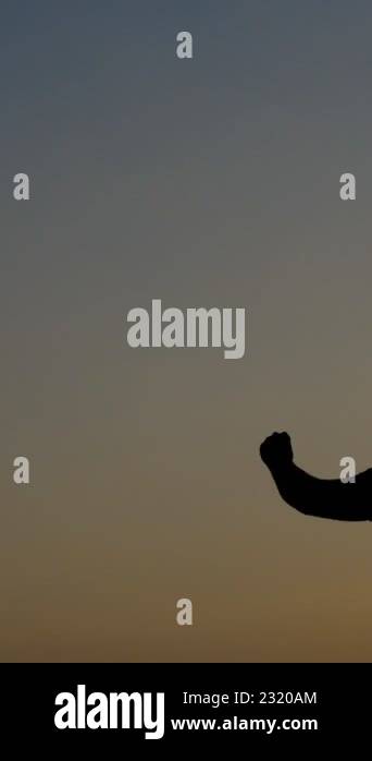Silhouette happy young man videos, outdoor sports activities, black ...