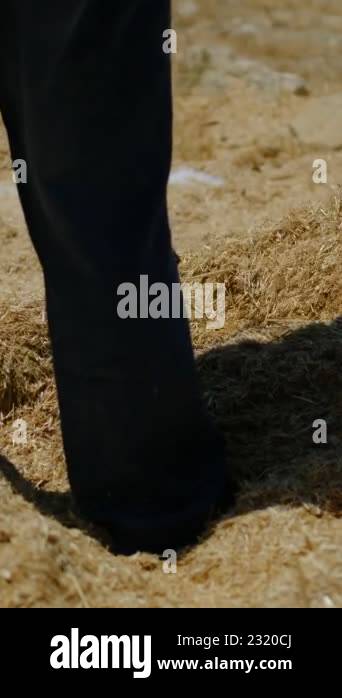 Collecting straw dust, passing yellow powder straws through the machine ...