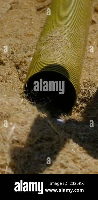 Bringing straw to the mouth of the tube that collects dust, primitive ...