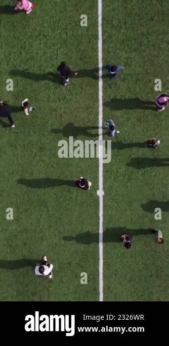 Aerial view of a large group of children playing on a green soccer ...