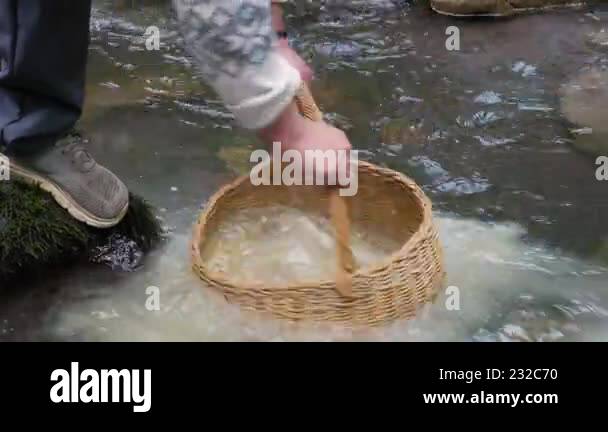 Unrecognizable Mapuche Woman in a Rural Setting Washing Wheat in a ...