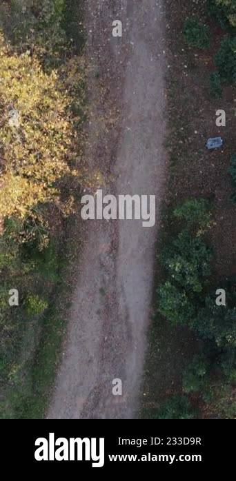 Unimproved road in autumn season, autumn season hiking trail, Aerial ...
