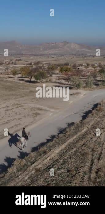 Aerial drone horseback riding sport, view of horse galloping on wide ...