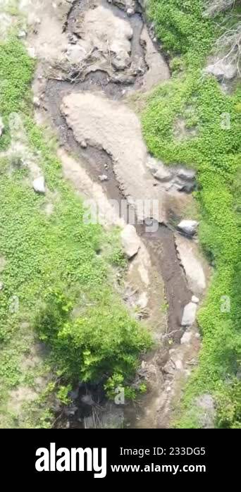 Aerial greenery stream bed, drone view of small creek bed in green ...