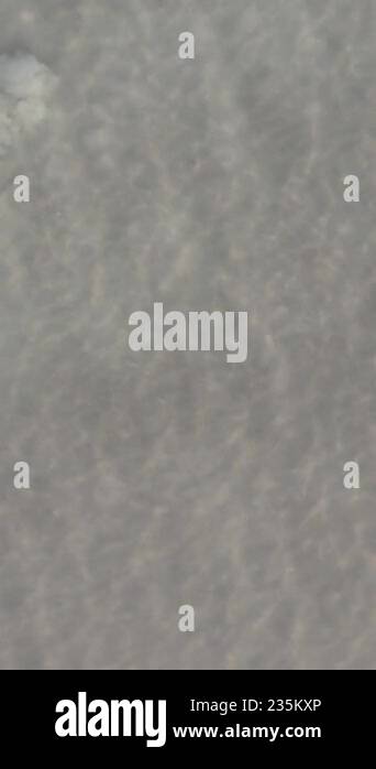 Drone view of fish playing in shallow water, fish in rough sea water ...