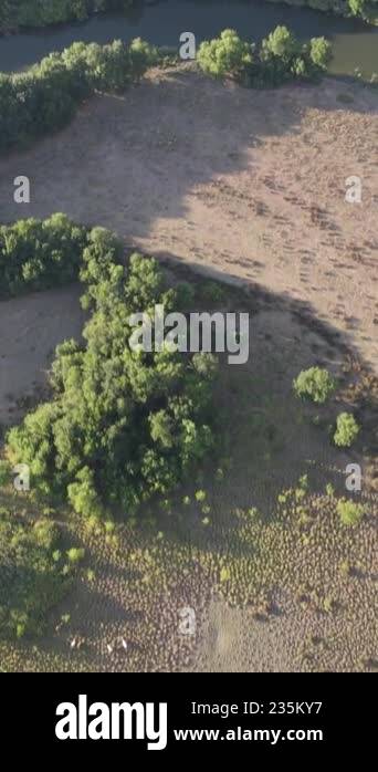 Green Seaside Field, seaside rural area with green farmland, resorts ...