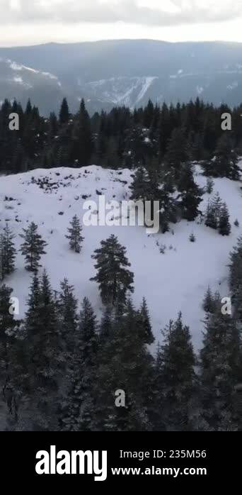 Ilgaz Mountains is a mountain range in northwest Anatolia Turkey ...