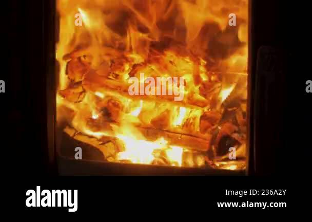 Campfire in the forest burns with a bright flame. Forest campfire and ...