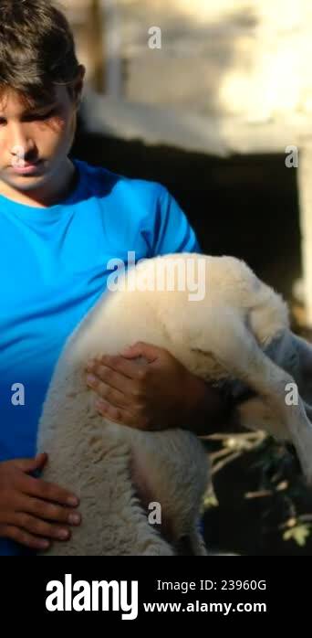 young man hugging sweet little white lamb, human animal bonding, loving ...