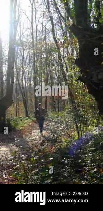 Camper boy walking on the path in the jungle, a young man with a ...