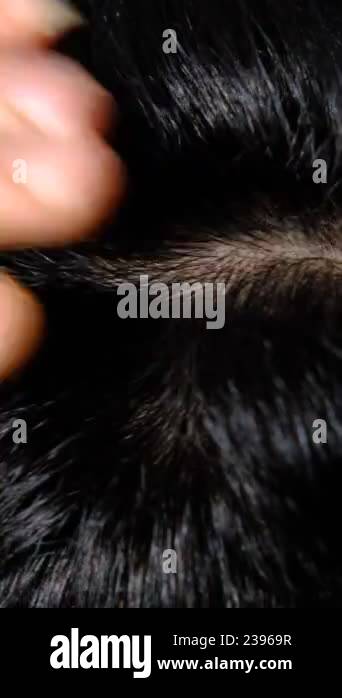 Hair care image with the top of the head in the middle of the camera ...
