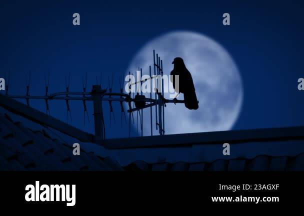 Moon and rooftop aerial Stock Videos & Footage - HD and 4K Video Clips ...