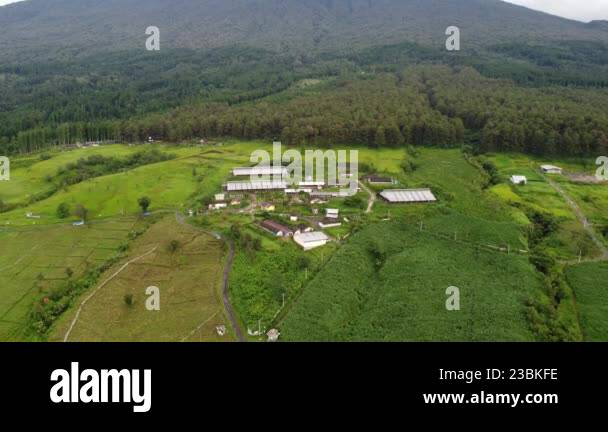 The drone view of Baturaden landscape in Banyumas Regency, Central Java ...