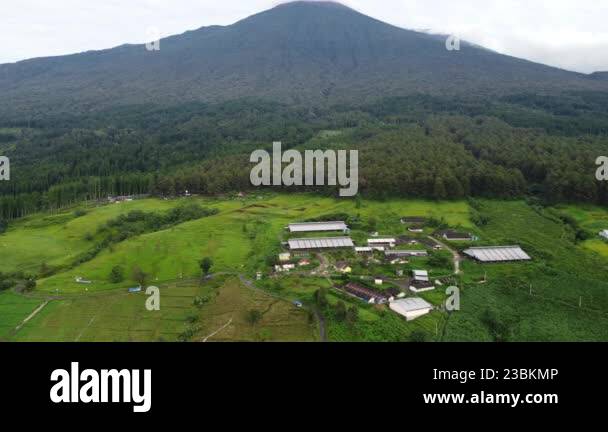 The drone view of Baturaden landscape in Banyumas Regency, Central Java ...