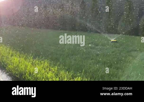 A sprinkler watering a lush green lawn with drops of water sparkling in ...
