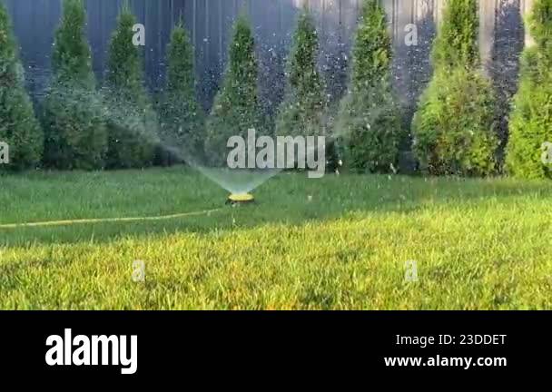 A sprinkler watering a lush green lawn with drops of water sparkling in ...