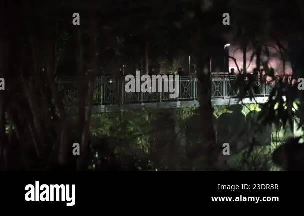 A bridge over a forest at night. The bridge is dark and the trees are ...