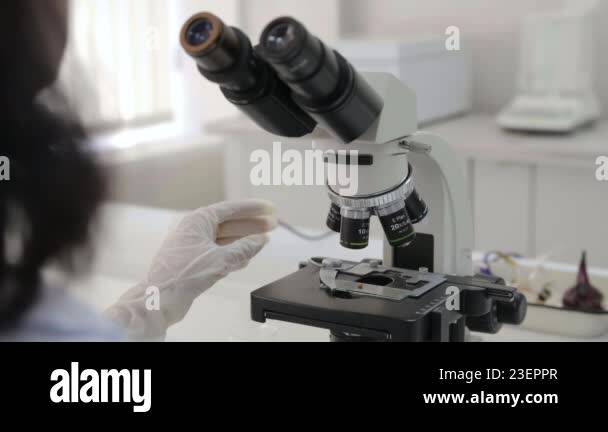 Sample Examination Under Microscope: Scientist Working with Microscope ...