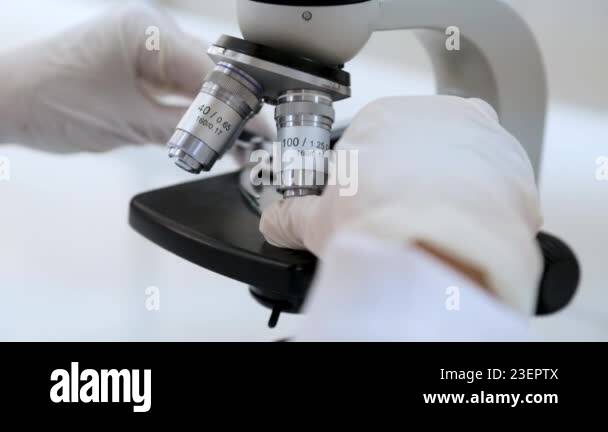 Setting up microscope in laboratory. Microscopic examination in ...