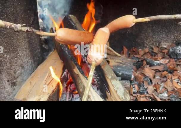 Sharpened sticks Stock Videos & Footage - HD and 4K Video Clips - Alamy