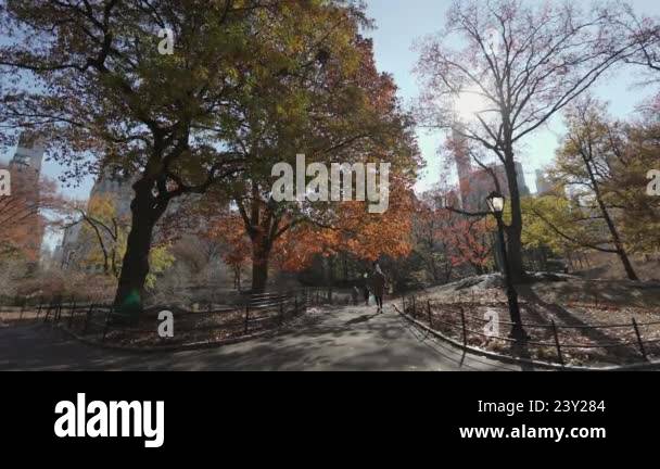 Fall scene central park Stock Videos & Footage - HD and 4K Video Clips ...