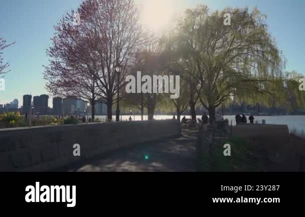 An absolutely stunning riverfront scene, depicting lush trees, bright ...