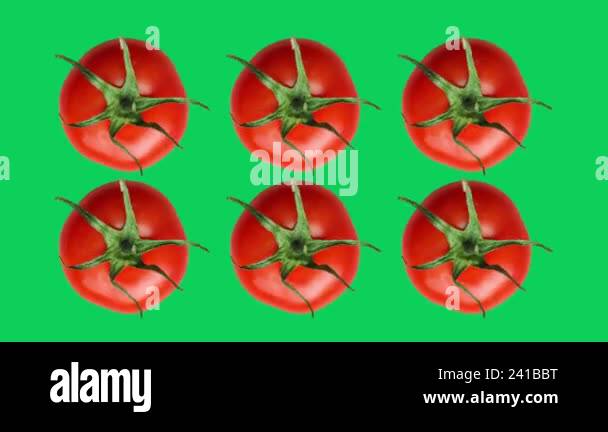 Tomato on a Green Screen, Chroma Key Stock Video Footage - Alamy