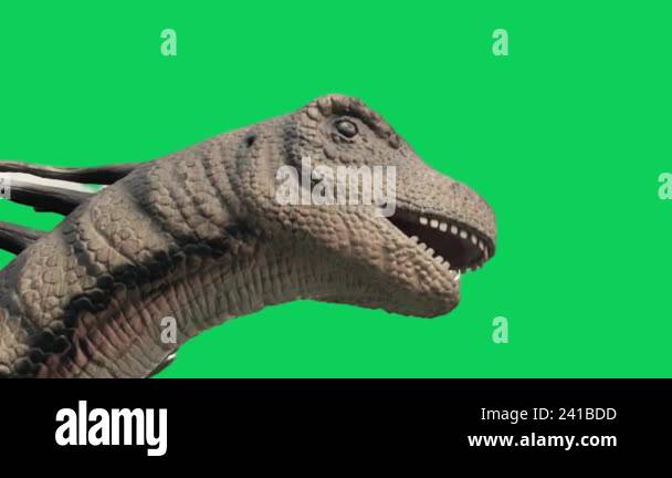 Dinosaur Green Screen Chroma Key Stock Video Footage - Alamy