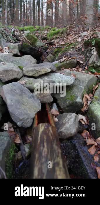 A small spring flowing through a wooden pipe between the stones. A ...