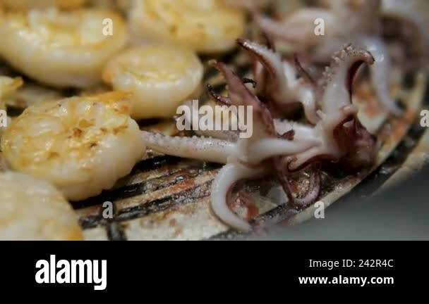 Octopus and shrimp Stock Videos & Footage - HD and 4K Video Clips - Alamy