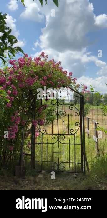 Iron gateway Stock Videos & Footage - HD and 4K Video Clips - Alamy