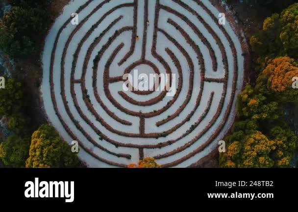 Top view of circular labyrinth surrounded by lush greenery. Hedge maze ...