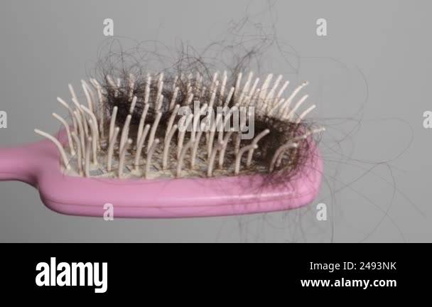Closeup of a female hairbrush or comb with a bunch of dark head long ...