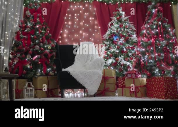A cozy holiday setup featuring Christmas trees with red and white ...